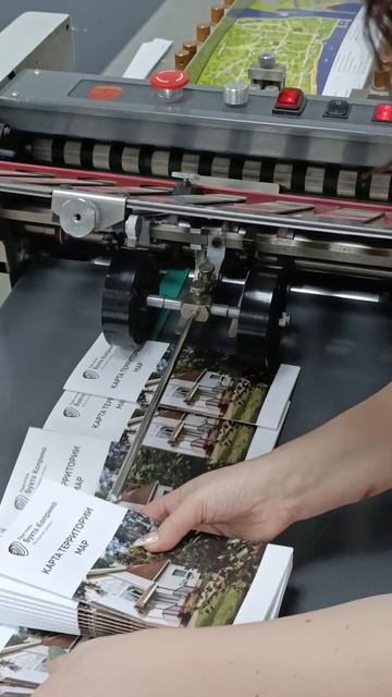 Автоматический биговщик