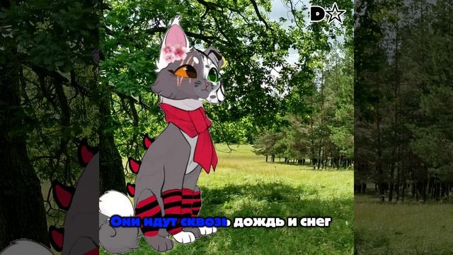 Наконец я сделала караоке песни "Путь Воина" от D☆ урыыы. Коты Воители. Путь Воина. Темная Ночь.