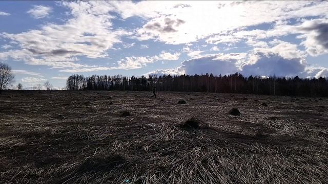 Металлокоп. Вечерний поиск на поле. Пятый выезд. #74