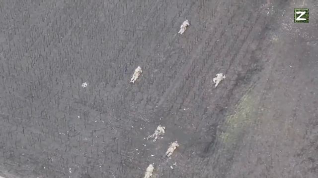 Кадры уничтожения бронеавтомобиля ВСУ воинами  ВС России
