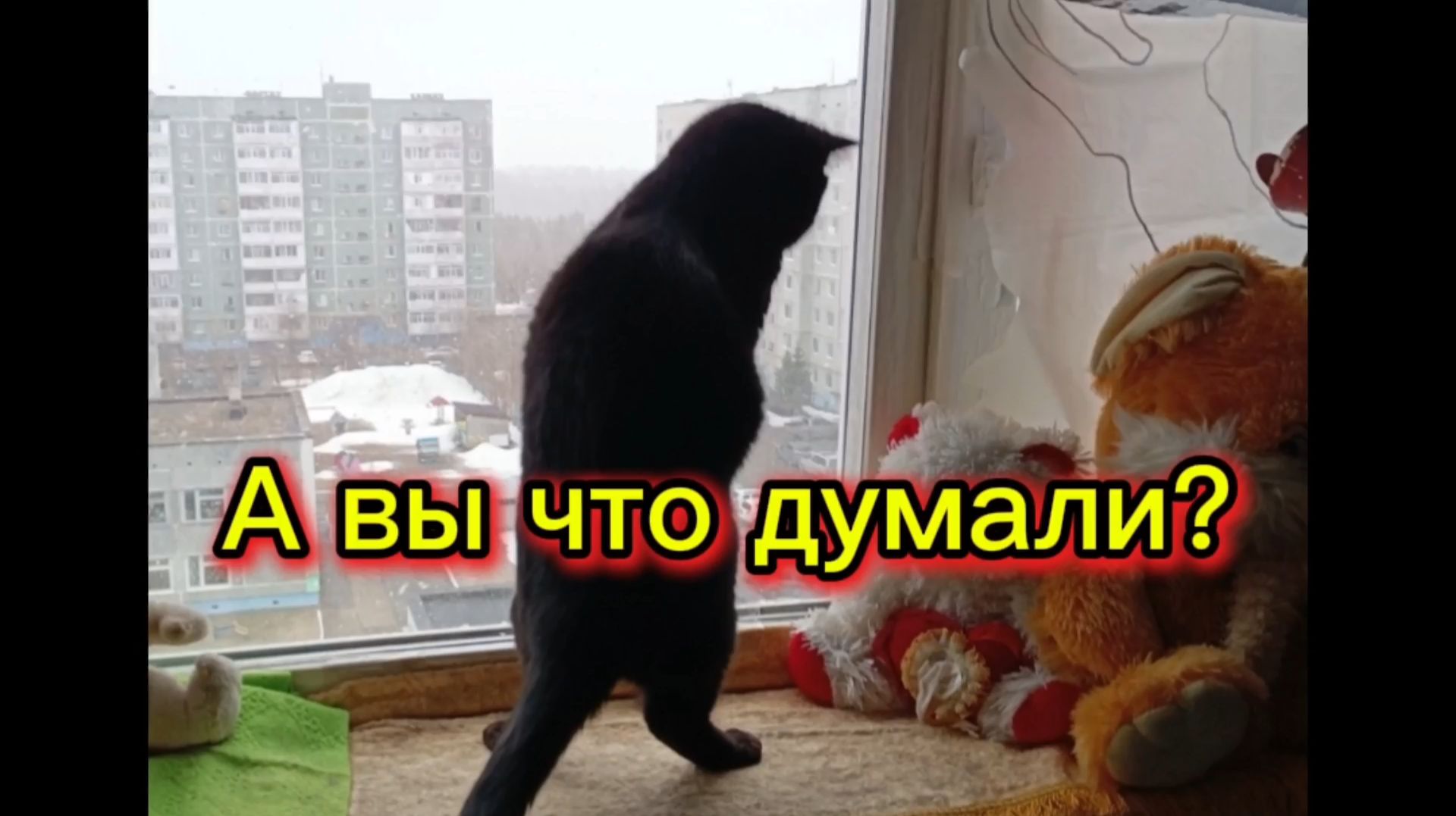 ПРИКОЛЬНАЯ ОЗВУЧКА.
