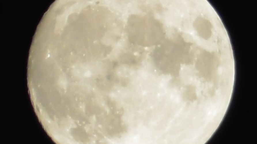 01.05.2026 Flower Full Moon 00-44 msk