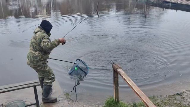 Светлые Горы Форель2 01.05.2026г.