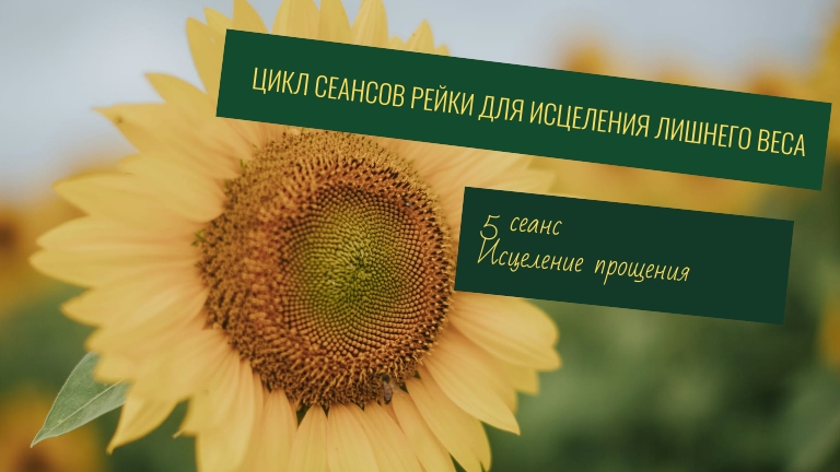 сеанс рейки для исцеления причин лишнего веса.5 исцеление прошлого