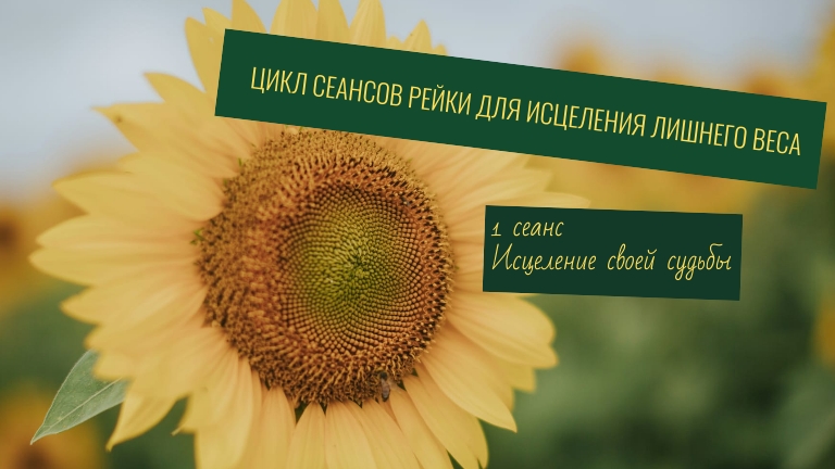 сеанс рейки для исцеления причин лишнего веса
