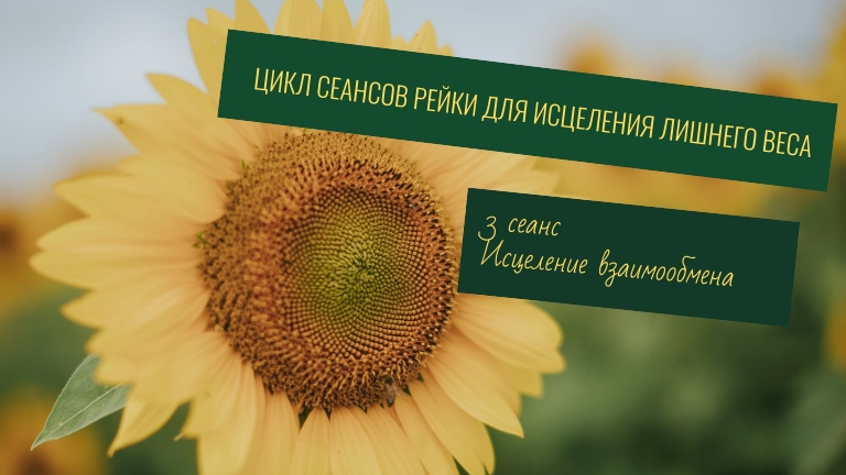 сеанс рейки для исцеления причин лишнего веса.3исцеление взаимообмена