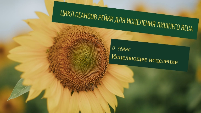 сеанс рейки для исцеления причин лишнего веса.0 сеанс исцеляющее исцеление