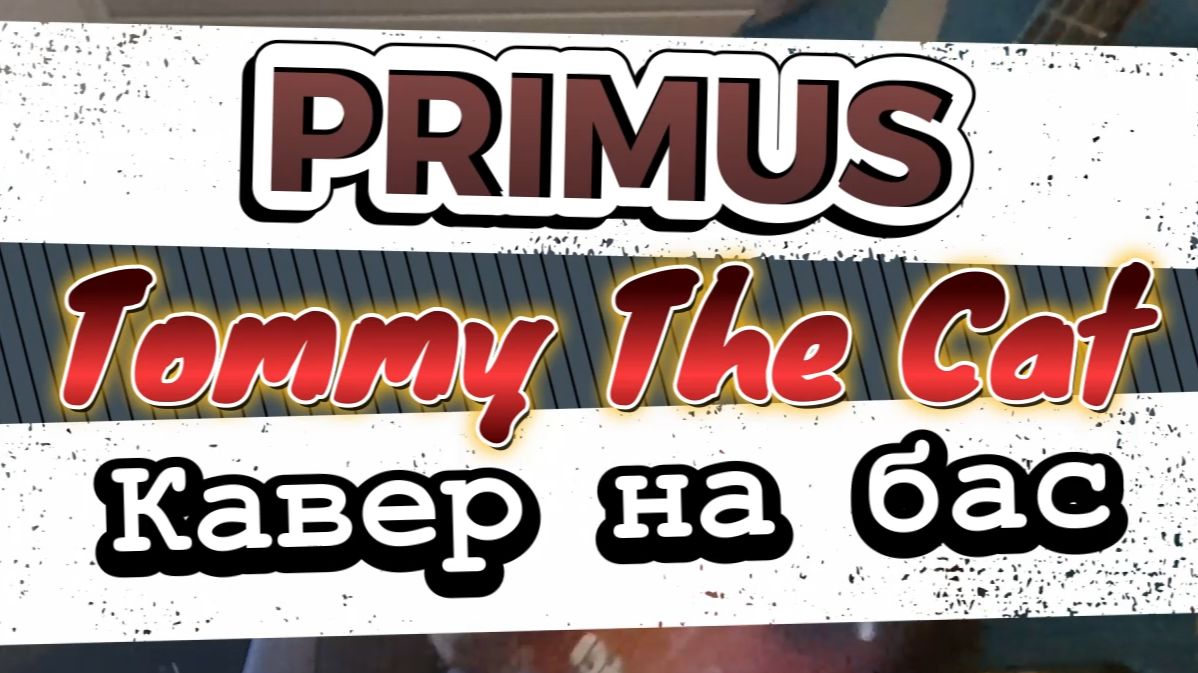 Праймус - Кот Томми (бас)