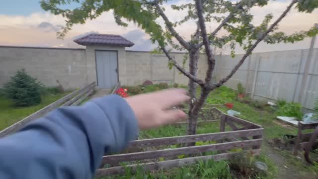 Жизнь вне орхидей - ПОЧЕМУ ХАОТИЧНАЯ ЗАСАДКА ВО ДВОРЕ