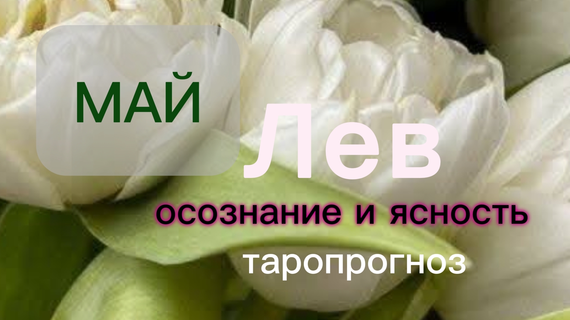 Лев♌️Ваш май 2026