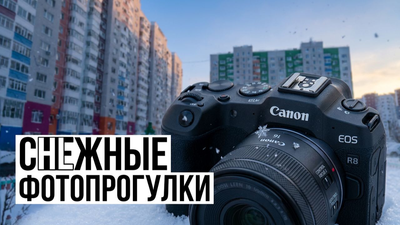 Дворовые прогулки