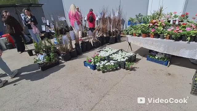 Влог/277/ Завтрак/ Мать и сын не дружат/ Что купили на ярмарке..