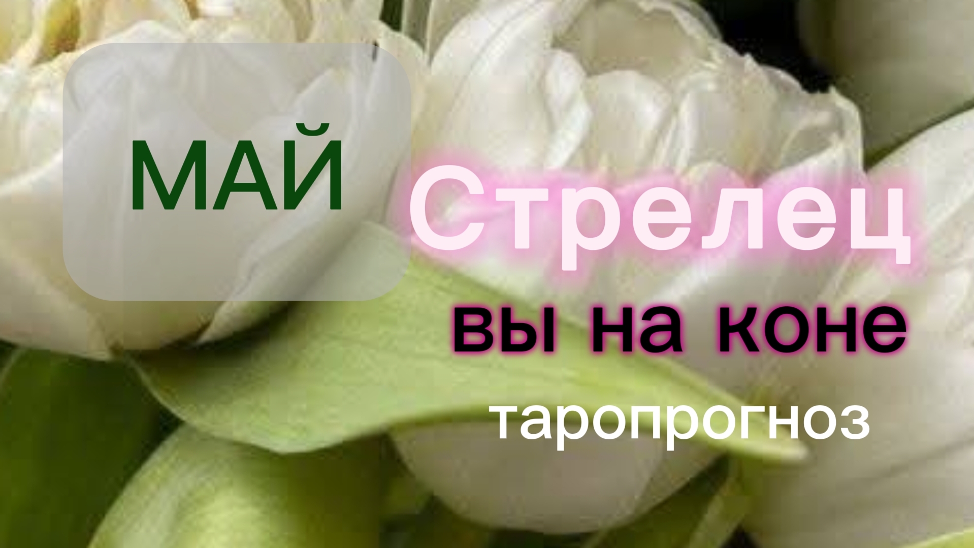 Стрелец♐️ Ваш май 2026