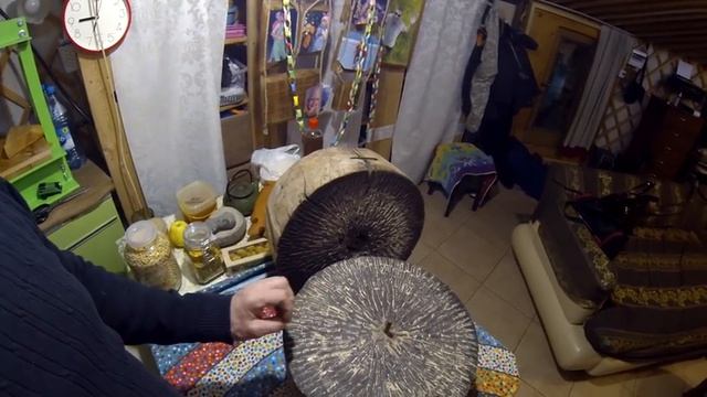 Самый быстрый способ колоть кедровые орехи!