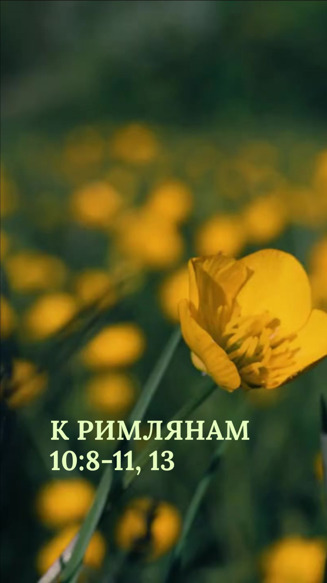 Послание к Римлянам 10:8-11, 13