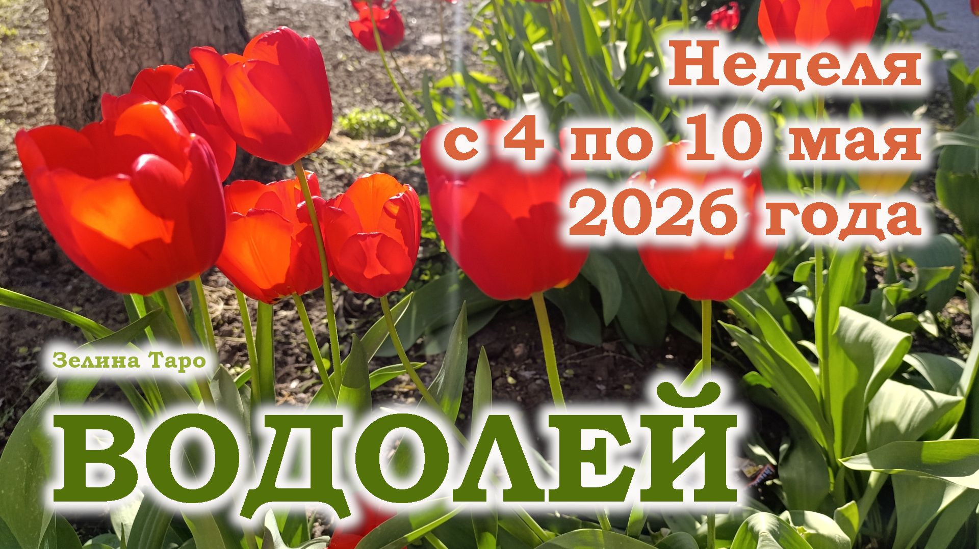 ВОДОЛЕЙ | ТАРО прогноз на неделю с 4 по 10 мая 2026 года