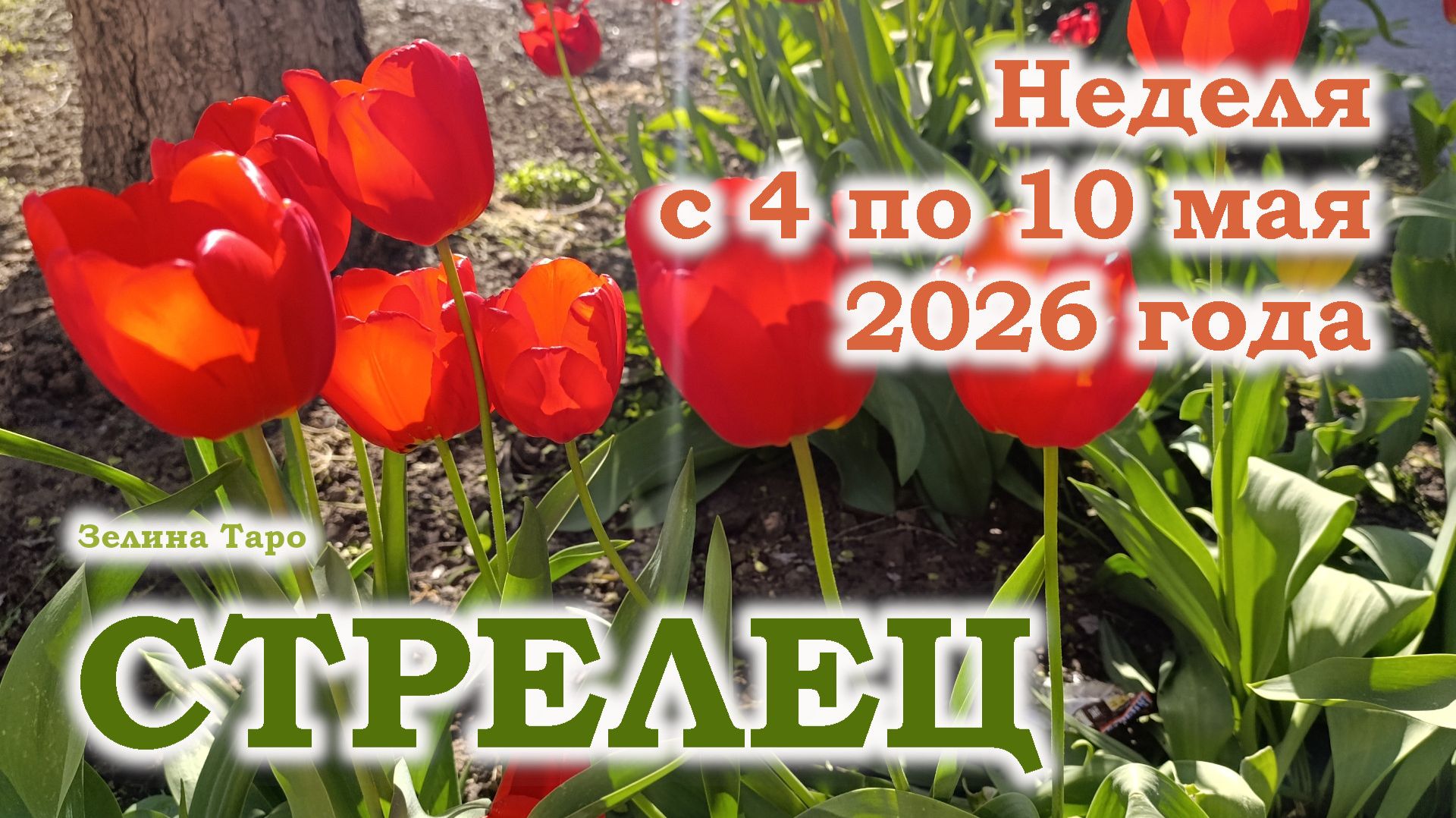 СТРЕЛЕЦ | ТАРО прогноз на неделю с 4 по 10 мая 2026 года