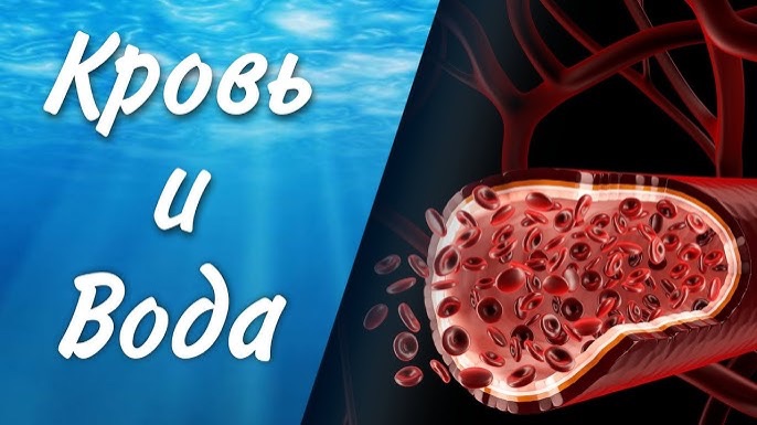 Кровь и структурированная вода | Doctor Water