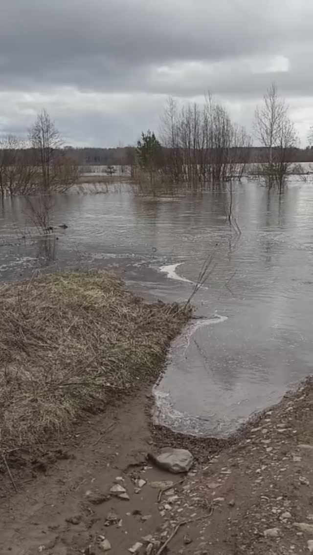 Половодье на Вятке. Видеоролик 1.