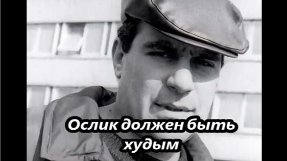 С. Довлатов_Ослик должен быть худым