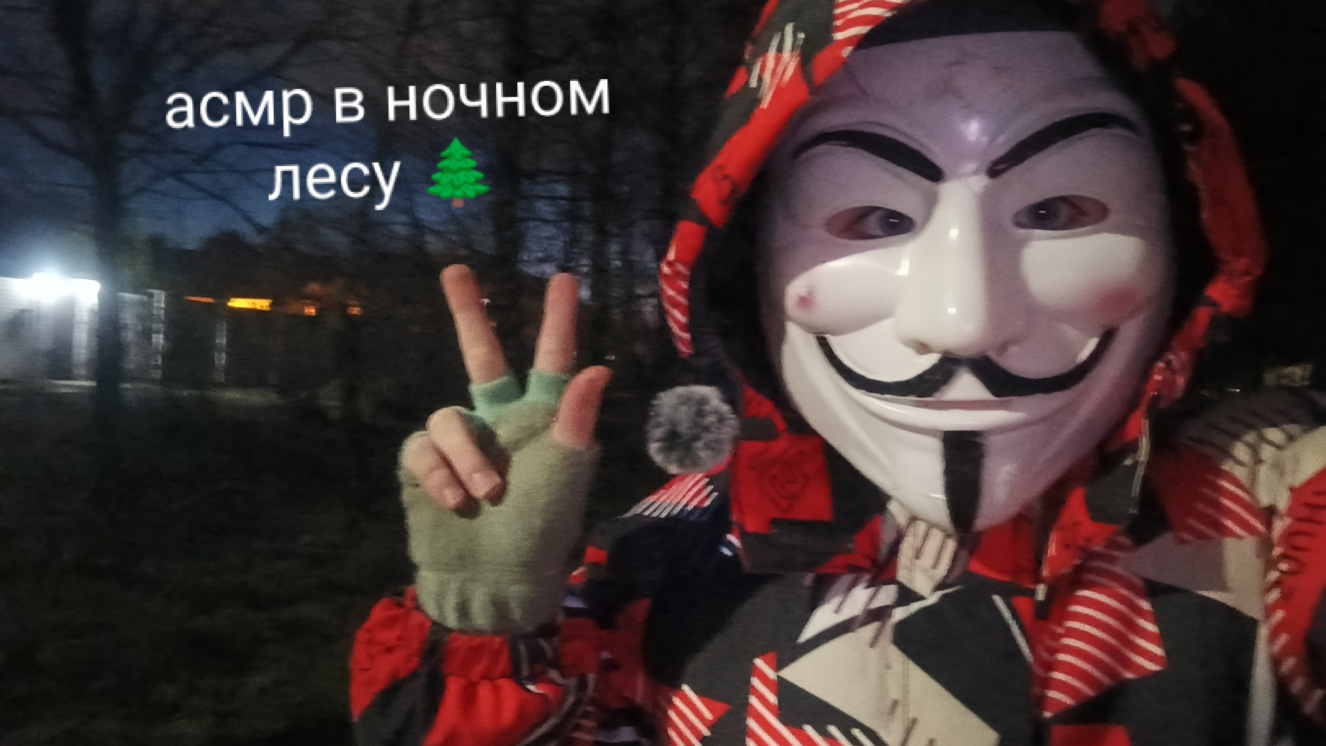 асмр в ночном лесу