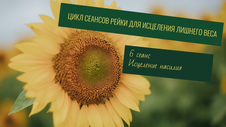 сеанс рейки для исцеления причин лишнего веса.6сеанс исцеление насилия