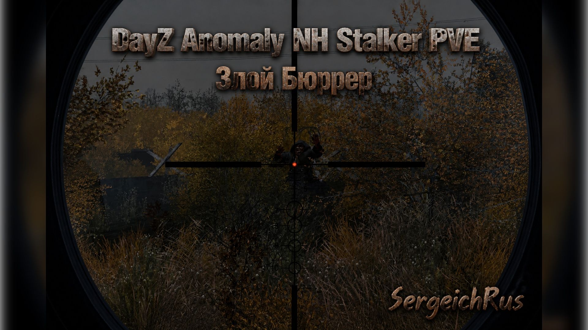 Прием. Бабку Вижу. Dayz Anomaly Stalker NH PVE