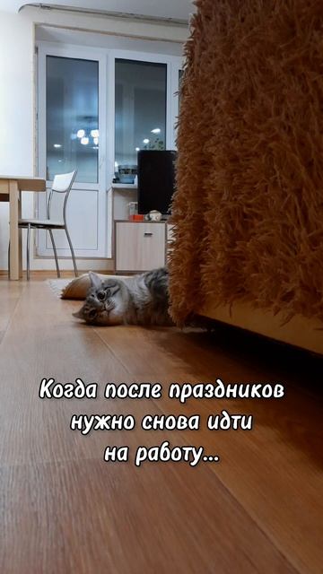После праздников