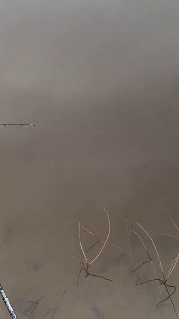Попал на раздачу подъязков! Мормышинг весной на небольшой реке у ручья!