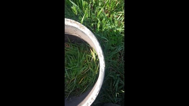 Картофан посадили. Вроде весна началась.