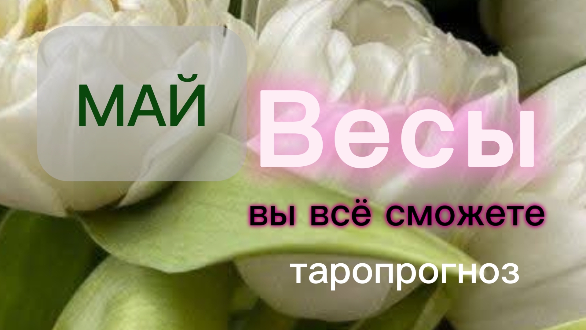 Весы♎️Ваш май 2026