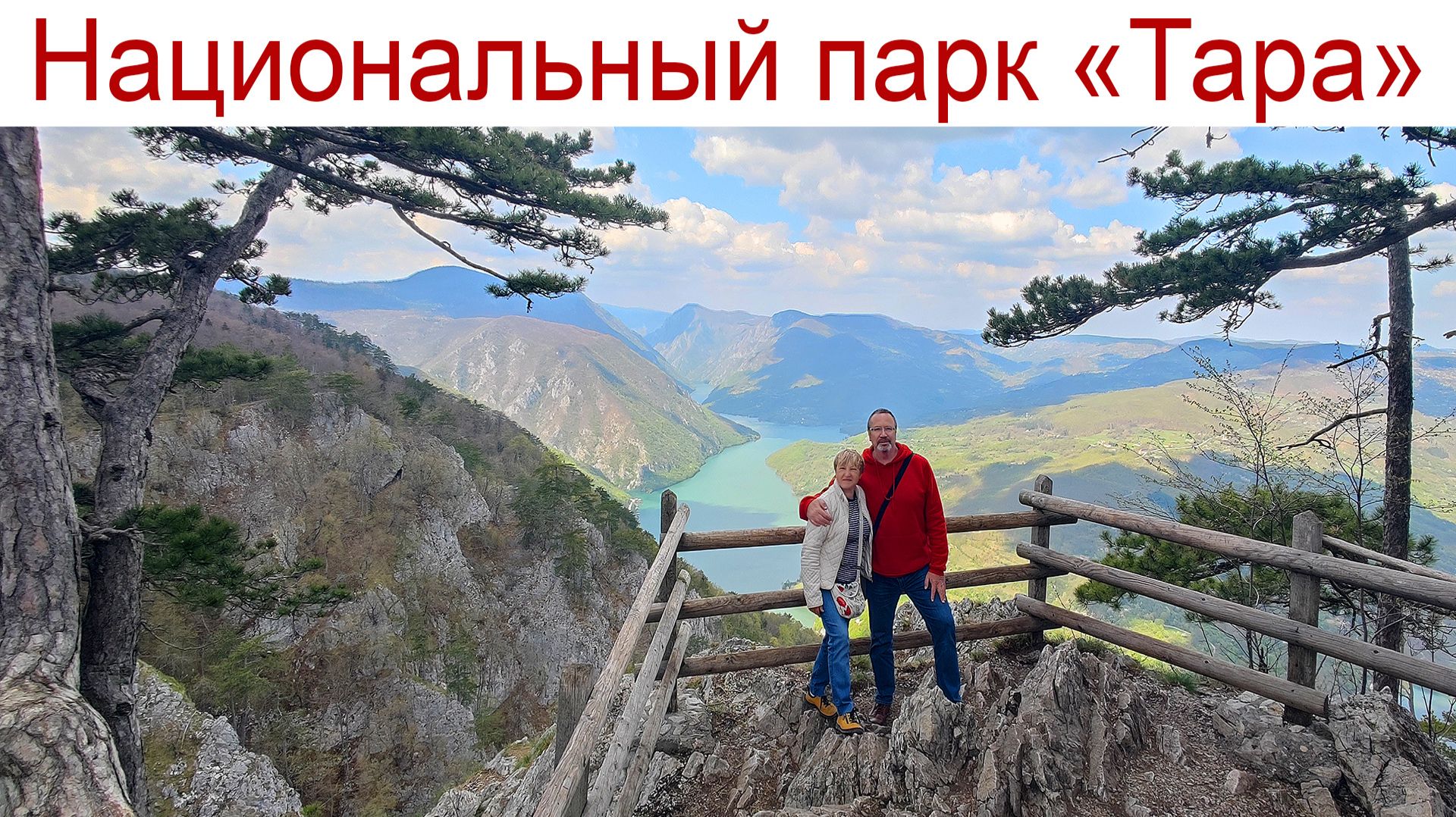 Национальный парк «Тара» - природная жемчужина Сербии