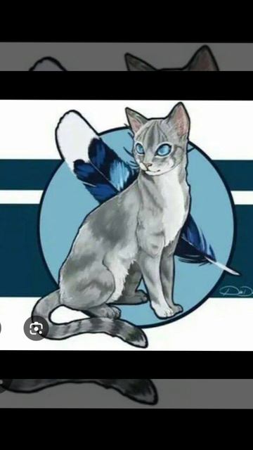 Коты воители