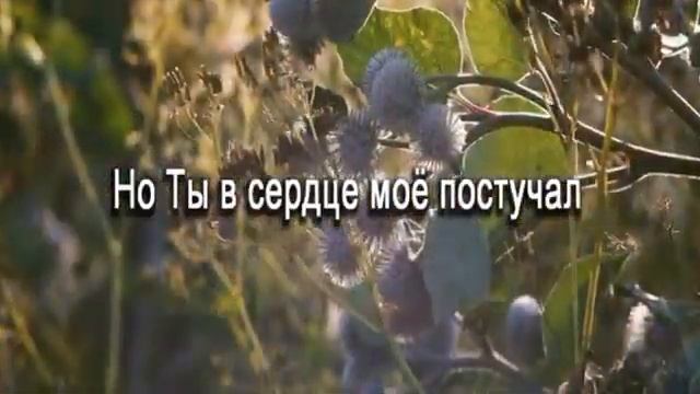Я любви не достоин Твоей.