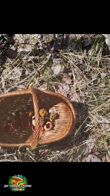 Ладошка счастья