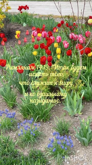 Хорошего дня!