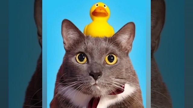 5 НОЧЕЙ С ЛОТКОВОМ😺😭 #5НОЧЕЙ #СТАШНО #БАСИК