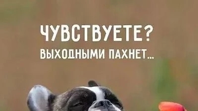 как построить дом в майнкрафт. дом в майнкрафт .в майнкрафт. дом.