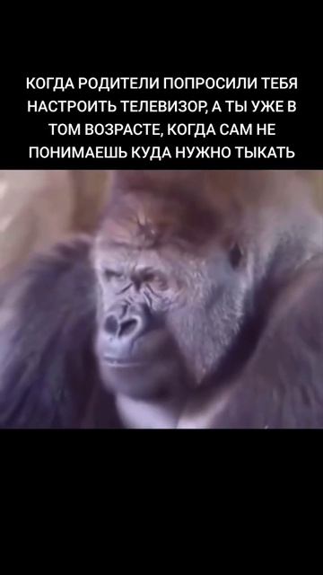 Хотя раньше ты мог часами шариться в настройках