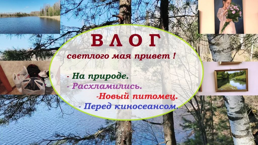 ВЛОГ.На природе. Расхламились. Новый питомец.Перед киносеансом