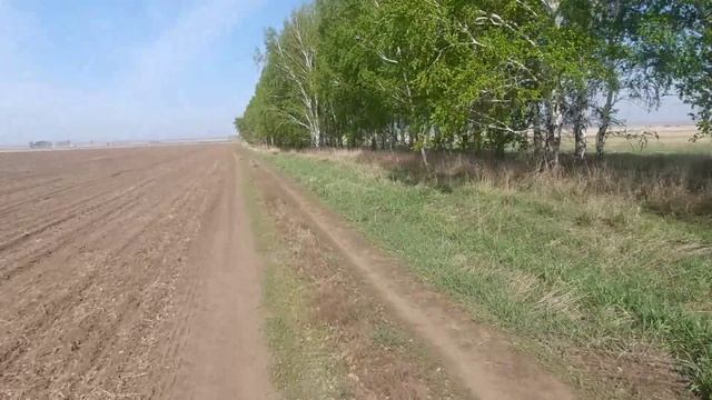 Дорогой судьбы.😊