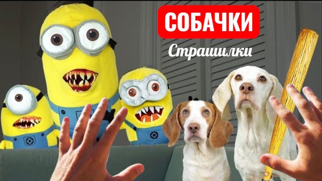 СОБАЧКИ СТРАШИЛКИ И МИНЬЕНЫ. СТРАШИЛКИ.