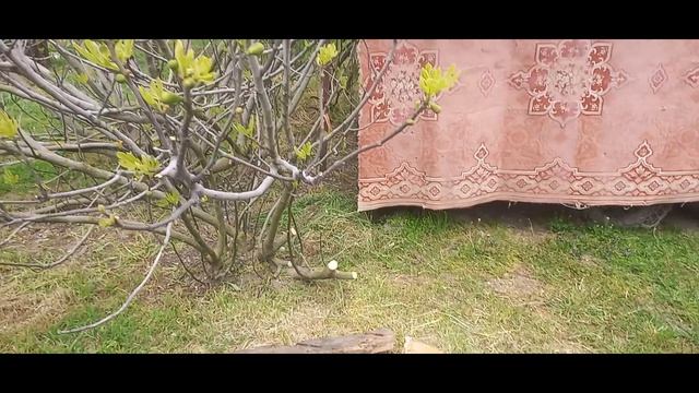 Красим дверные арки на Логане.
