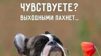 как построить дом в Майнкрафте .в майнкрафт дом .в Майнкрафте. дом.