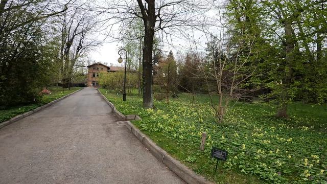 Ботанический сад Петра Великого в Санкт-Петербурге Торжествуй, зелёный май! 2026 (часть 2)