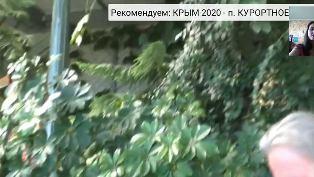 Реакция на Воронцовский дворец и Алупкинский парк. Крым.