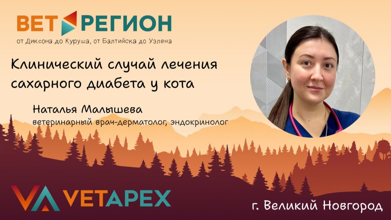 ВетРегион. Наталья Малышева "Клинический случай лечения сахарного диабета у кота"