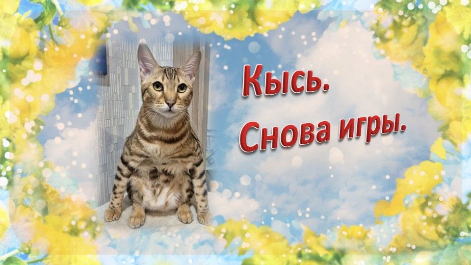 Кысь. Снова игры-2.