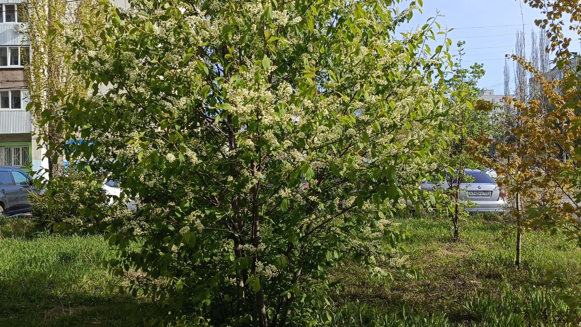 ПРОГУЛКА ПО ПАРКУ