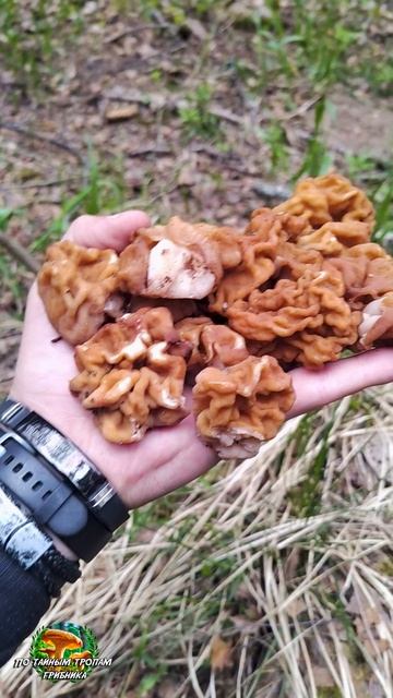 Ладошка счастья